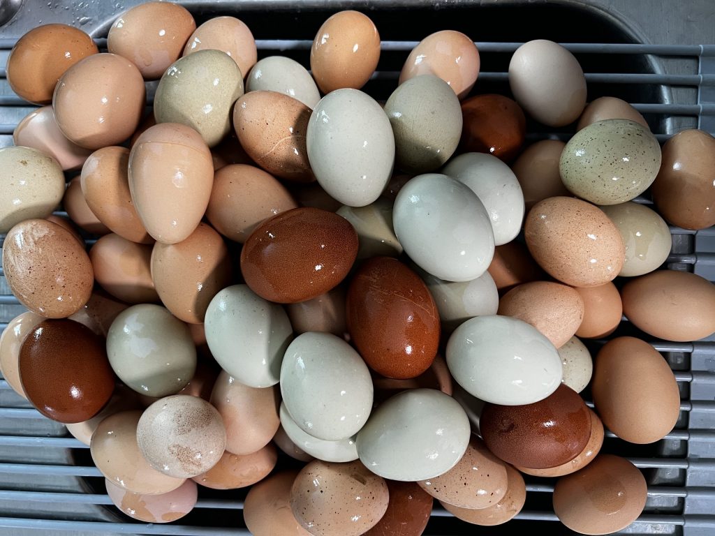 Three Little Goats – Living Simple, Working Hard