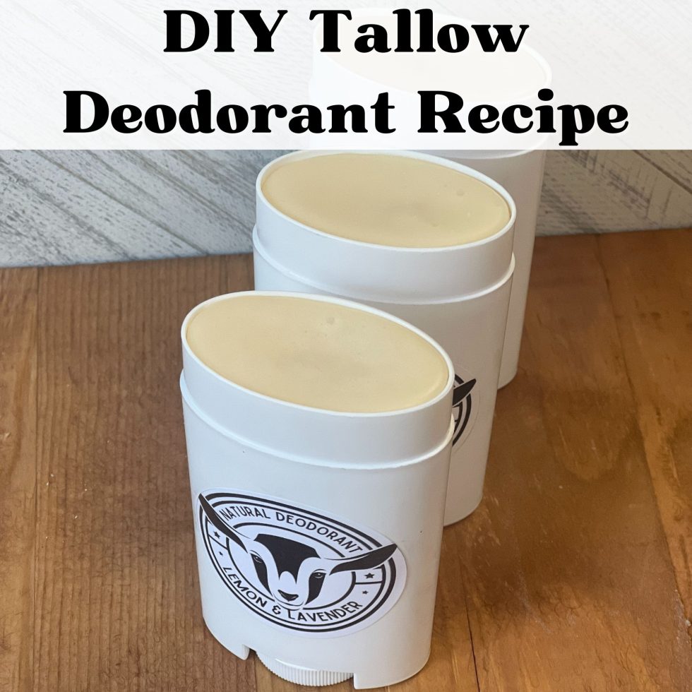 DIY Tallow Deodorant Recipe