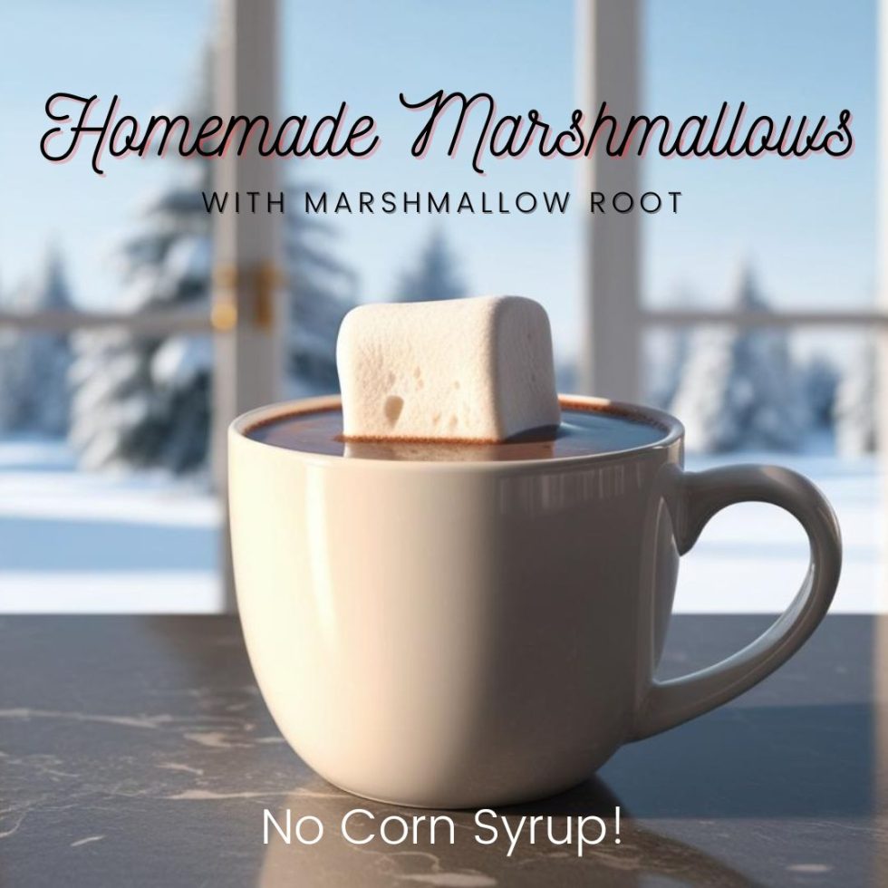 Marshmallow Recipe with Marshmallow Root and NO CORN SYRUP!
